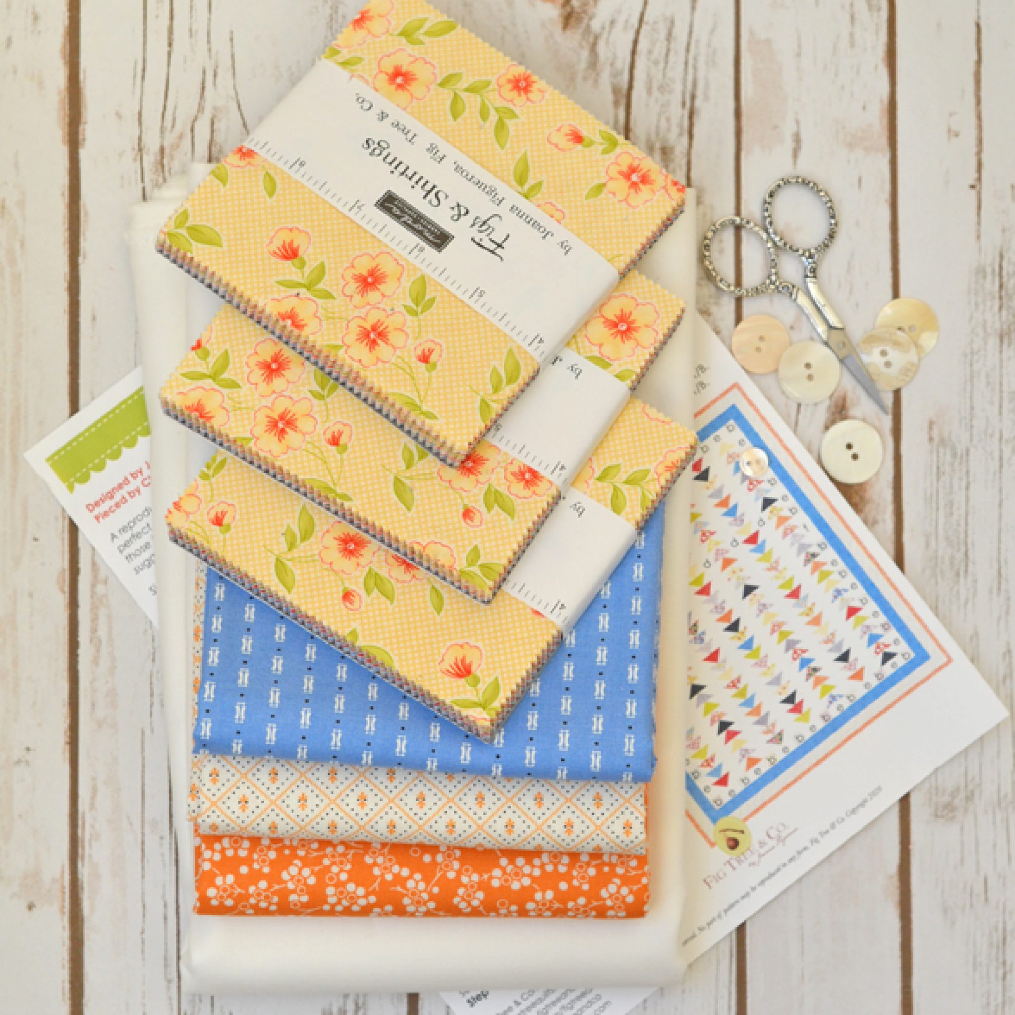 fly-away-kit | Fresh Figs