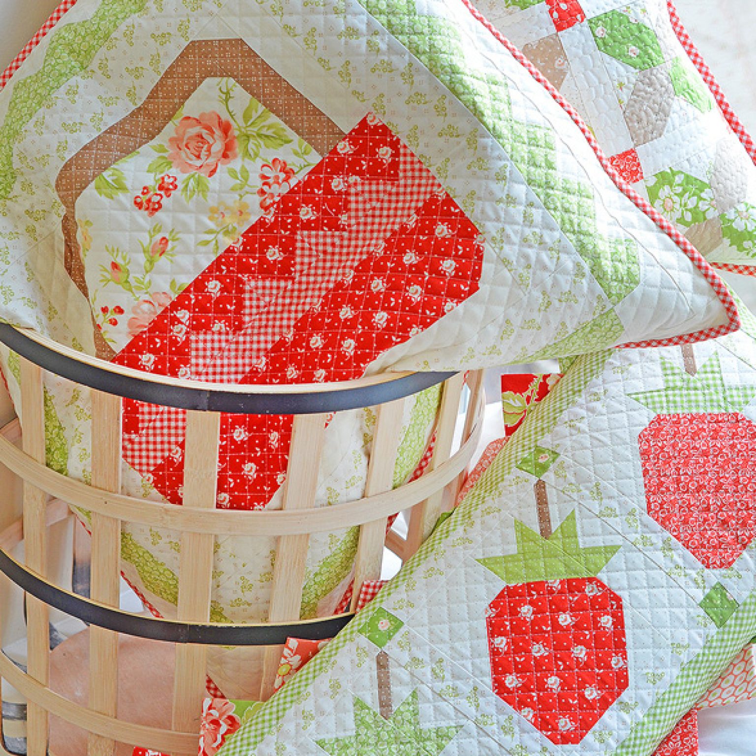 STRAWBERRY GARDEN BOOK: FIG FRIEND FEATURE – WEEK 6 | Fresh Figs